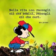 Blog | Il tuo counselor